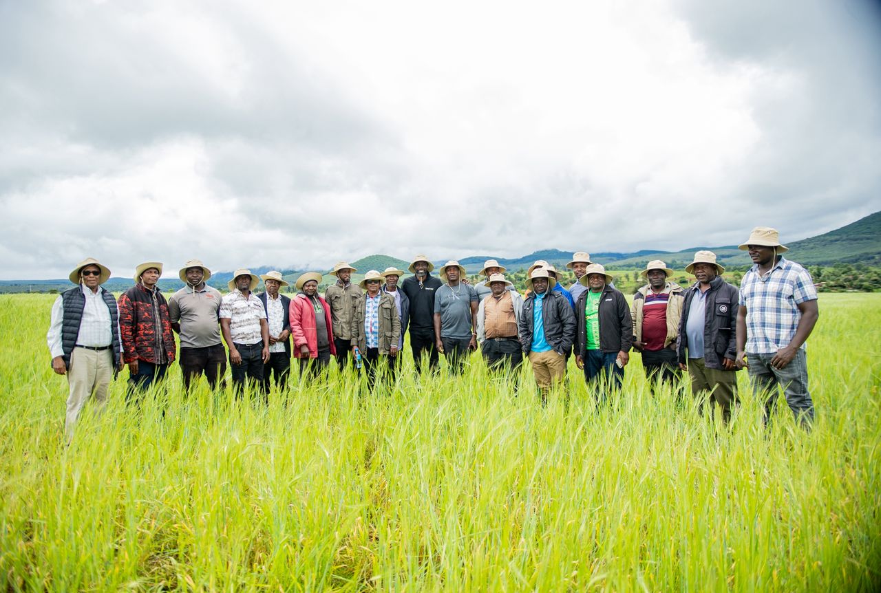 Climate Action: How SBL is leading the way in curbing climate change ...