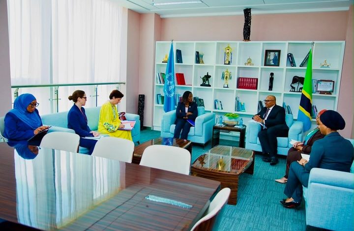 Tanzania holds talks with UN in bid to bolster women’s role in ...